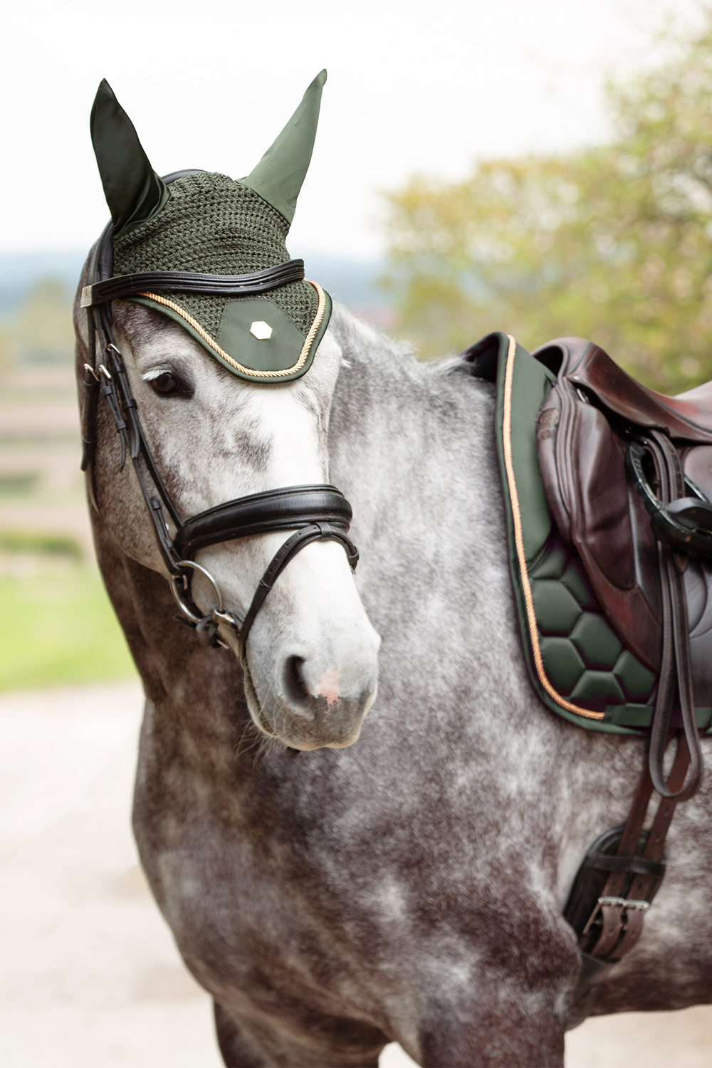 Coldstream Equestrian - Outlet