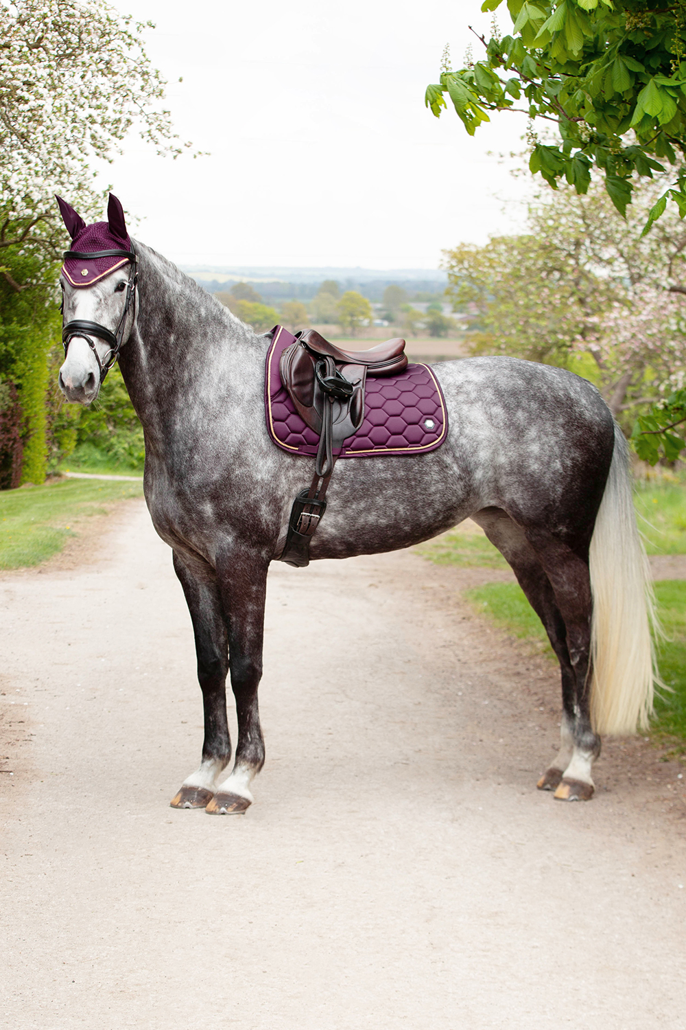 Coldstream Equestrian - Saddle Pads