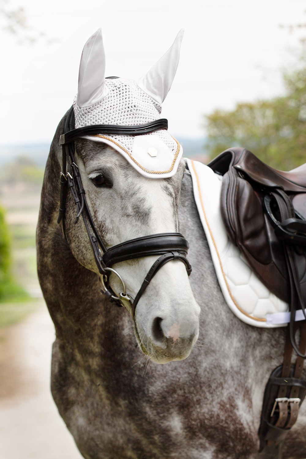 Coldstream Equestrian - Outlet