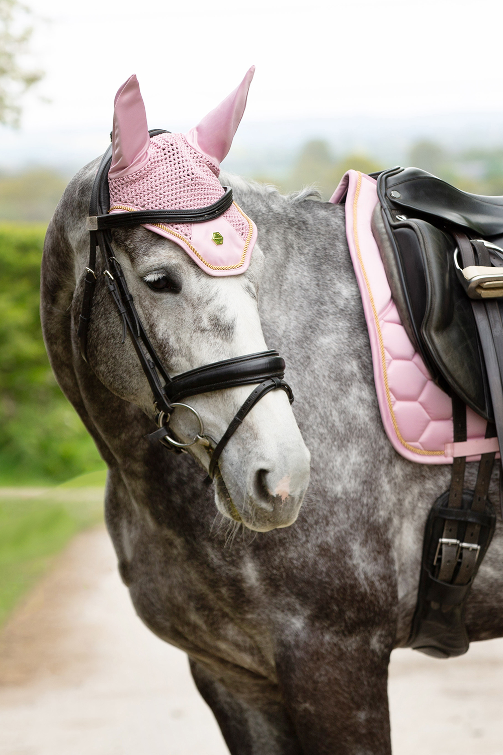 Coldstream Equestrian - Outlet