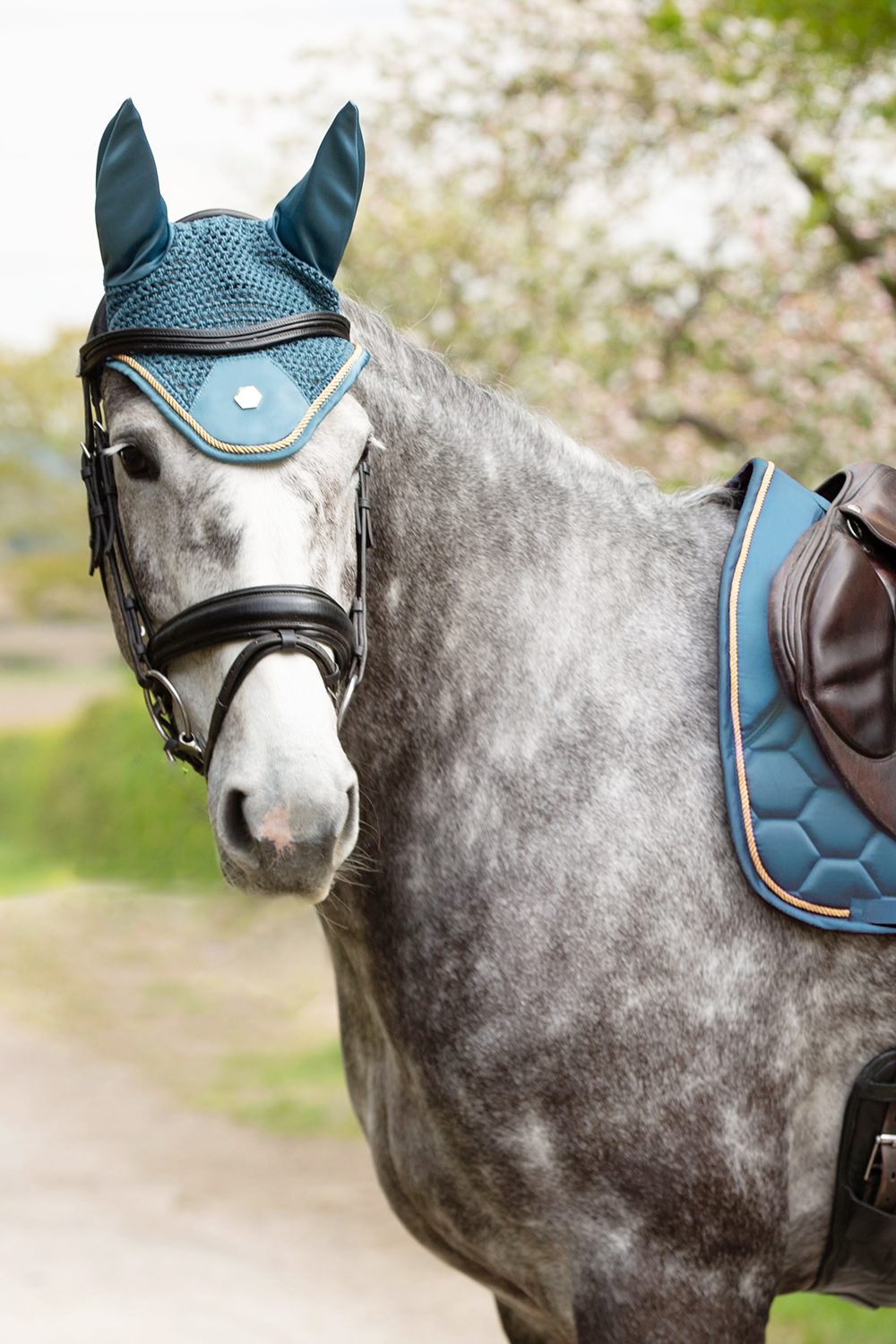 Coldstream Equestrian - Outlet