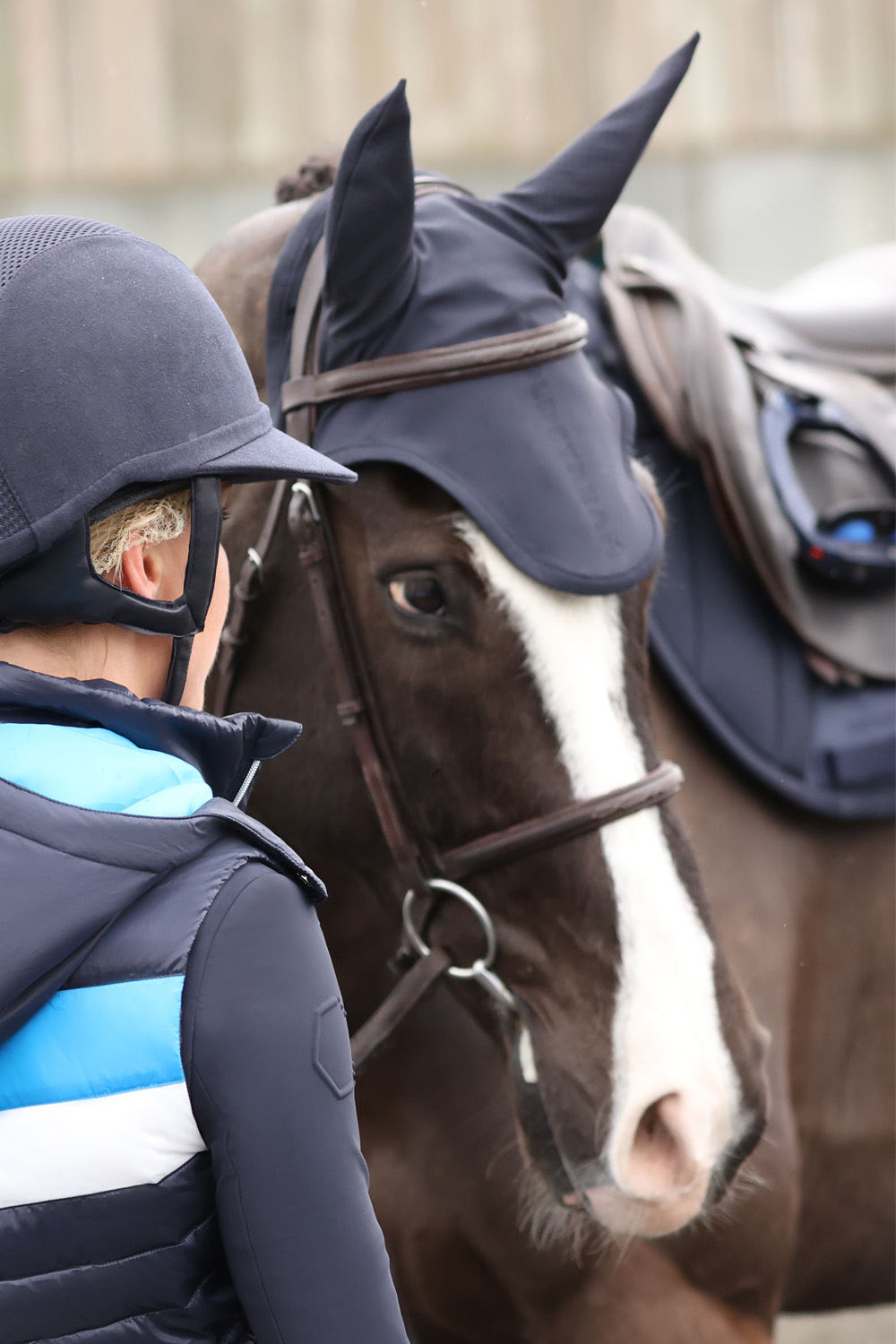 Coldstream Equestrian - Fly Veils